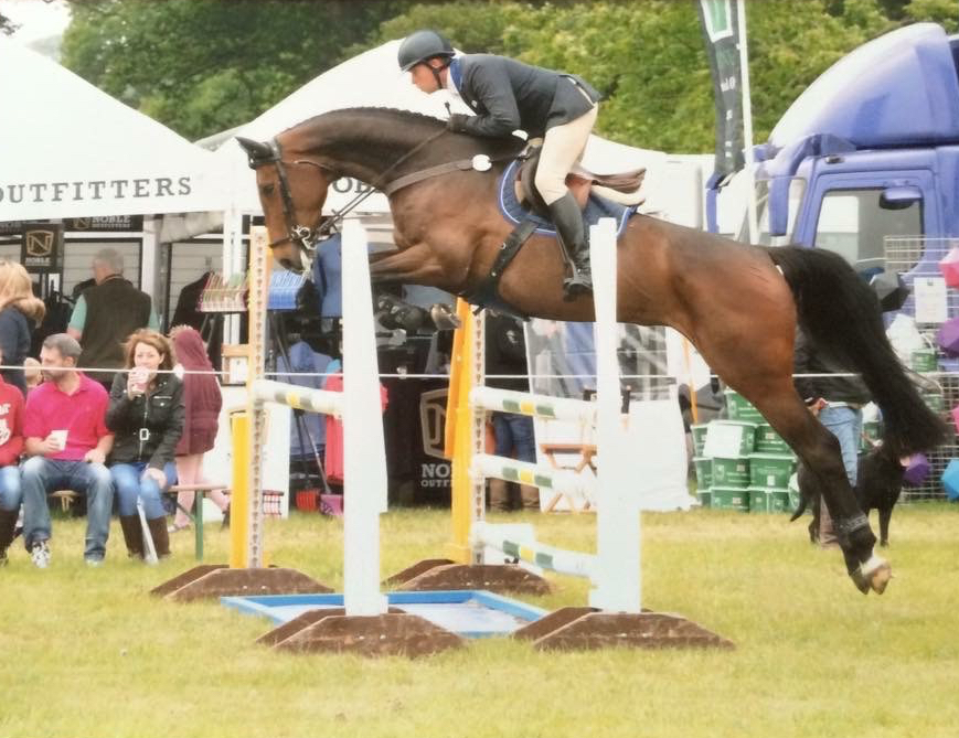 About – T&N Equestrian